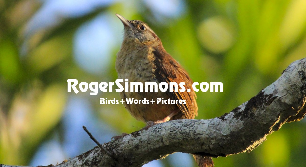 Greed, movies and soda: How Channel 6 became WCPX-TV in 1982 - Roger ...