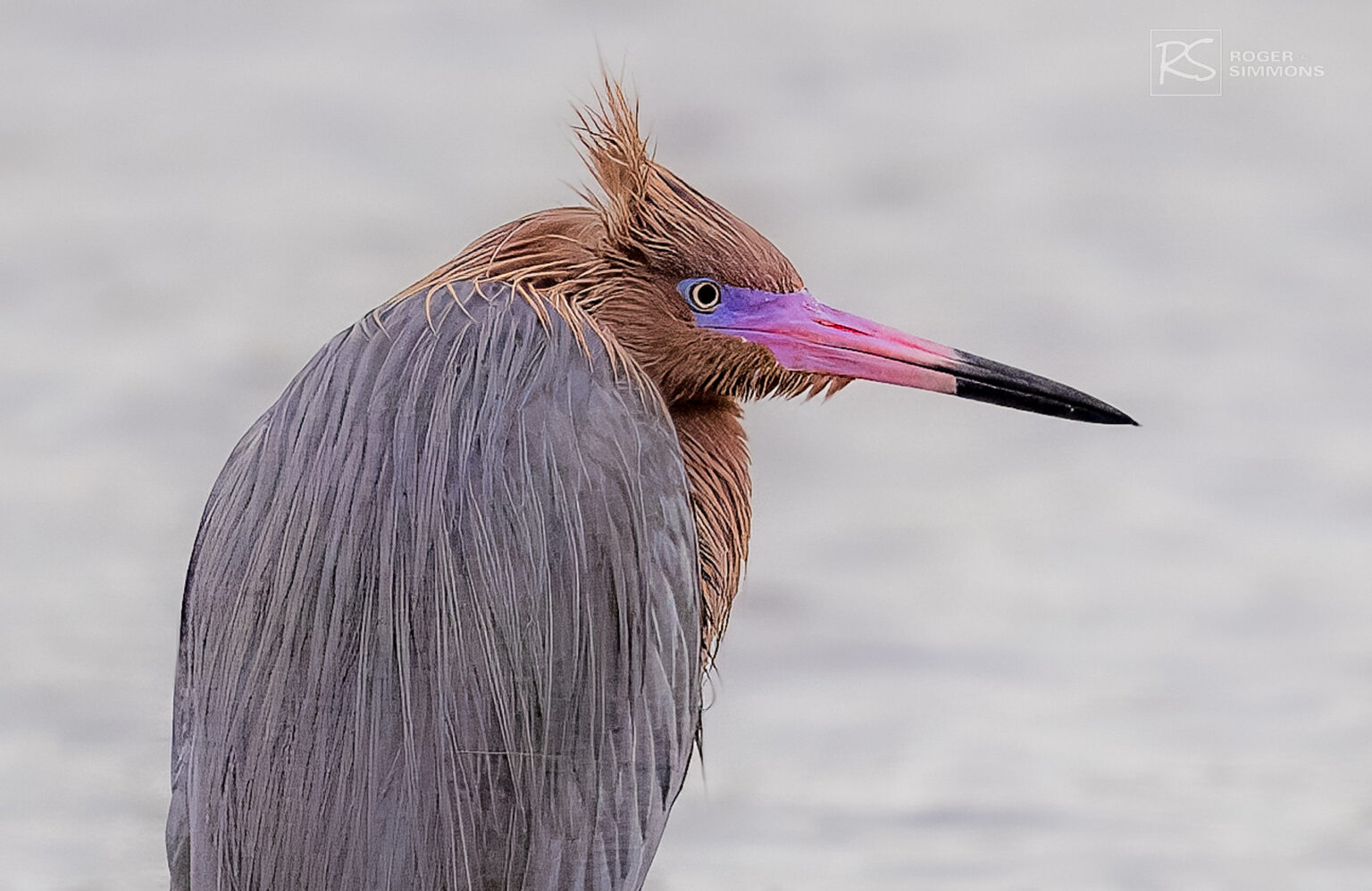 WOFL-35 - Roger Simmons