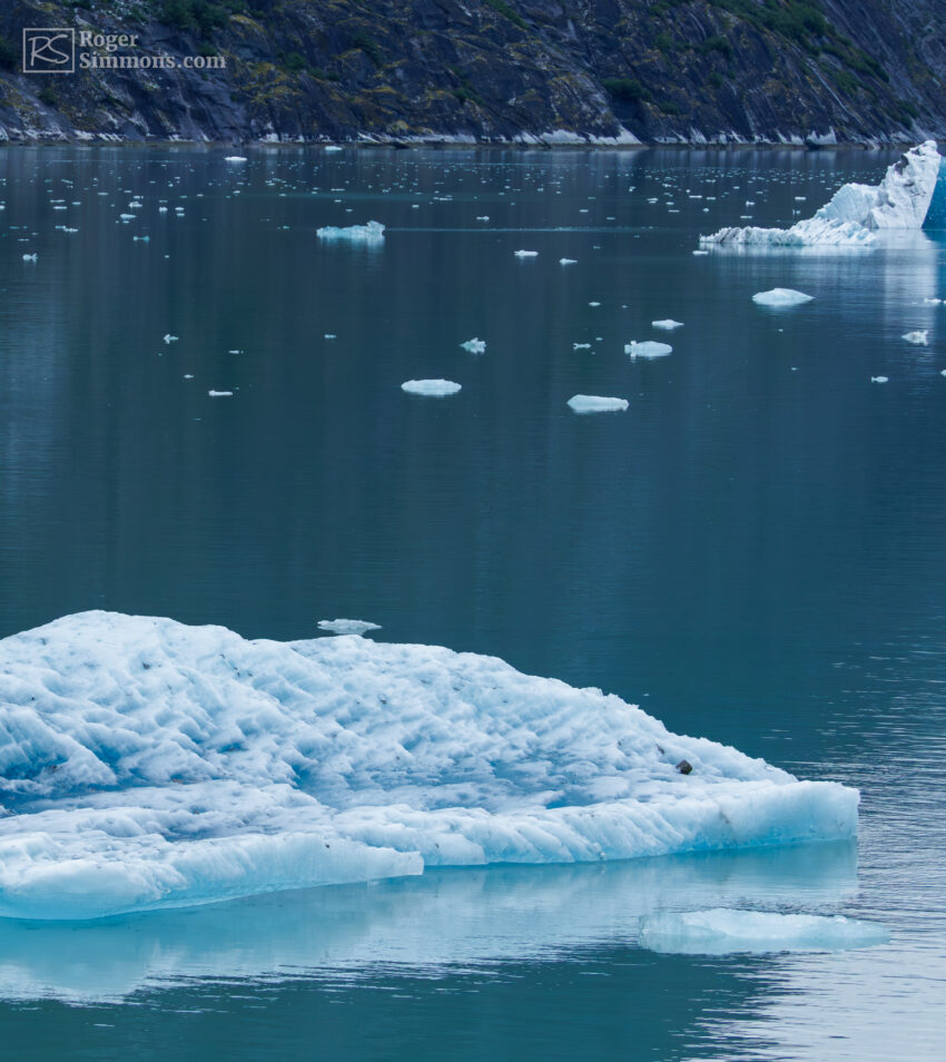 Cruising through Endicott Arm fjord to Dawes Glacier - Roger Simmons