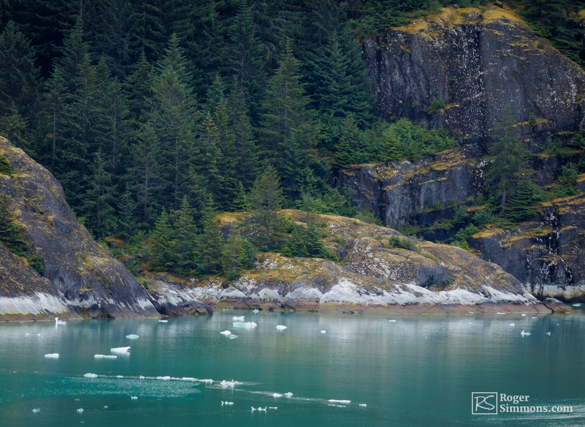 Cruising through Endicott Arm fjord to Dawes Glacier - Roger Simmons