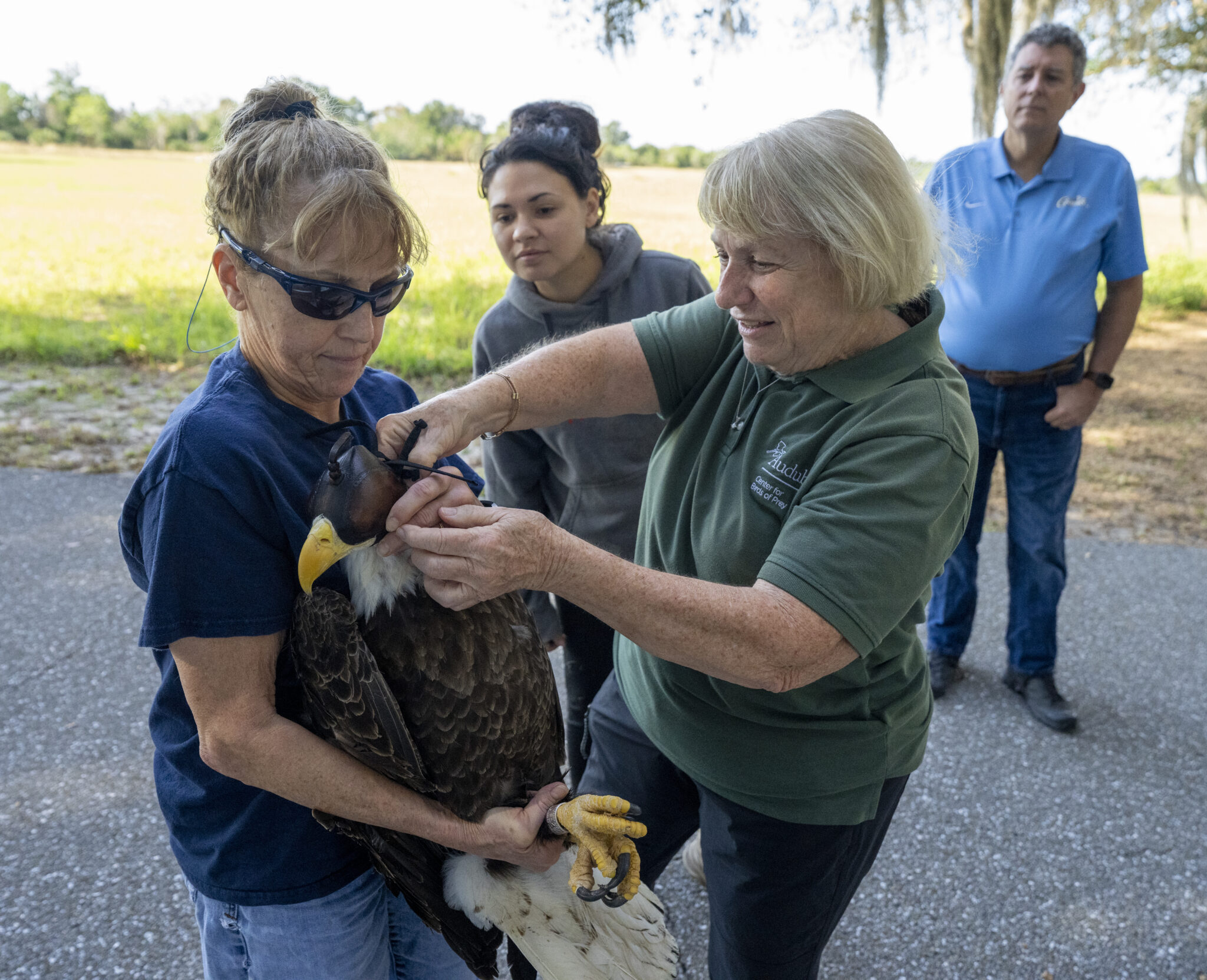Helping release a Bald Eagle back into the wild - Roger Simmons